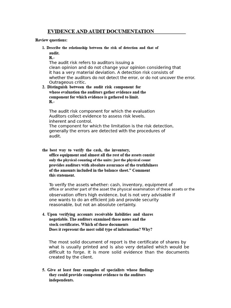 Audit Risk and Evidence Documentation Guide | PDF | Audit | Business