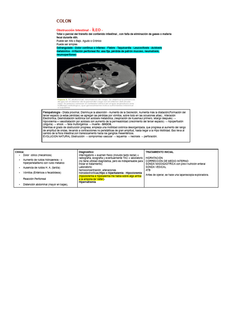 Obstrucción Intestinal: Diagnóstico y Tratamiento | PDF ...