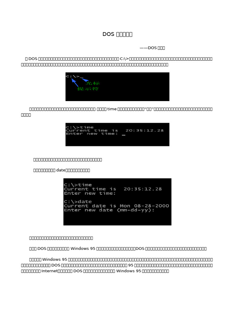 dos详细教程 | PDF