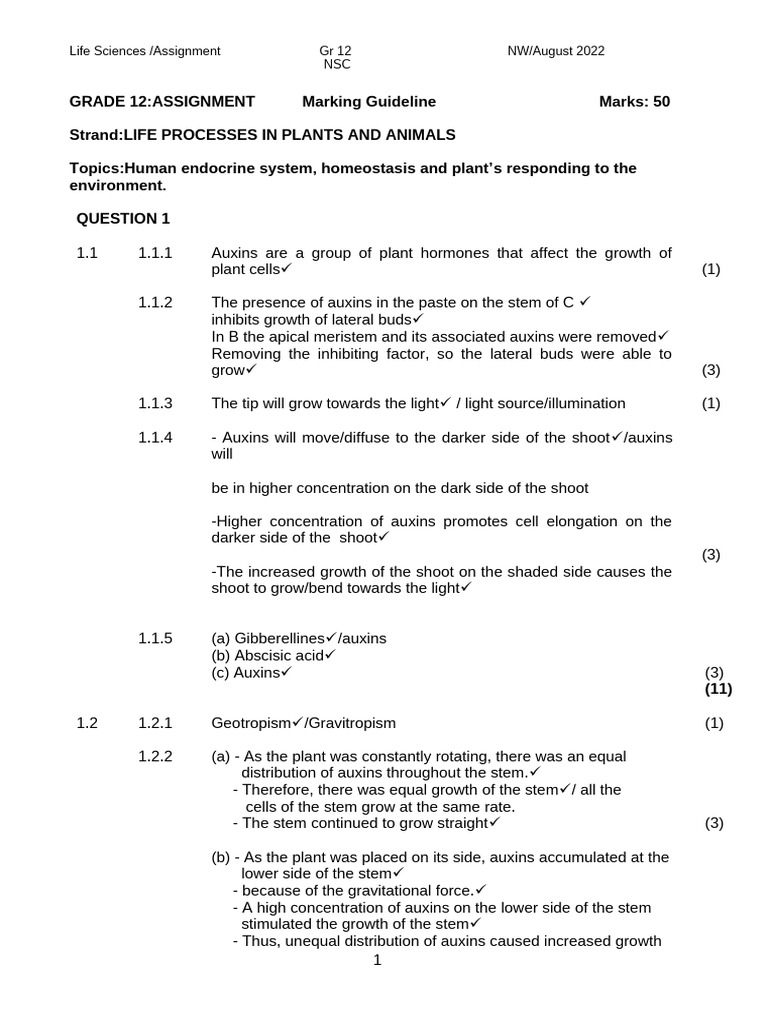 2022 ENG GR 12 Assign Memo | PDF | Auxin | Perspiration