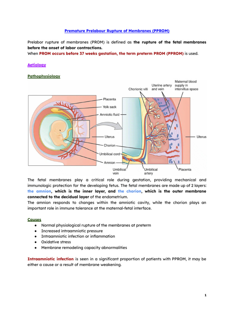 Premature Prelabour Rupture of Membranes (PPROM) | PDF | Childbirth ...