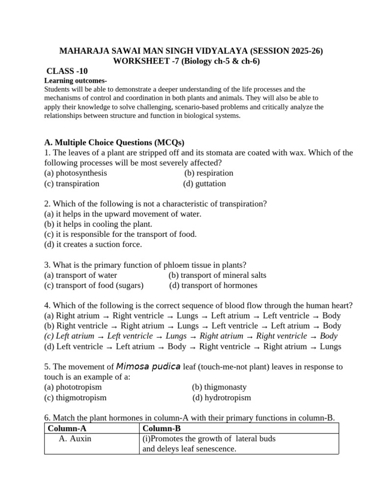 Class 10 Biology Worksheet on Life Processes | PDF | Human Body | Breathing