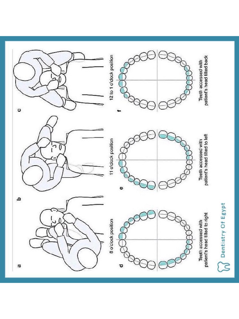 Chair Position For Dental Procedure | PDF