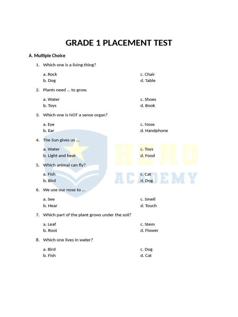 Grade 1 Placement Test PDF | PDF