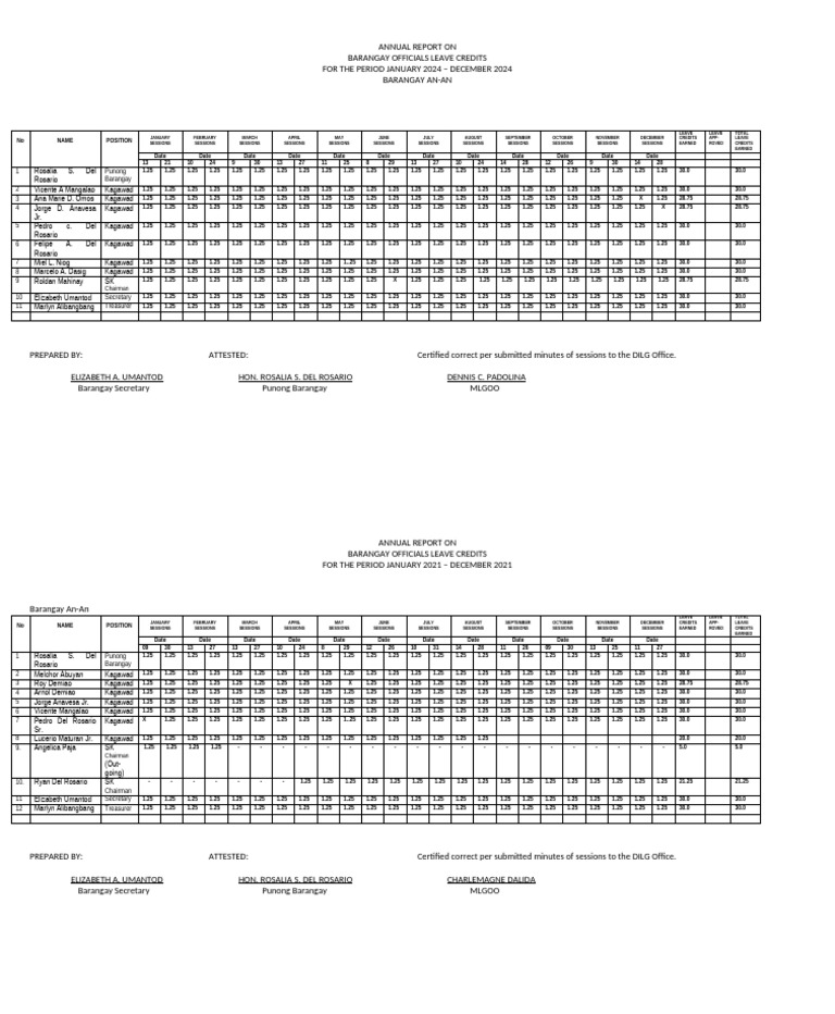 Annual Report On Leave Credits 2025 | PDF