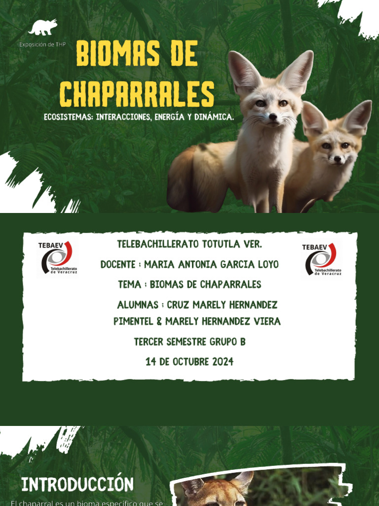 Biomas de Chaparrales | PDF
