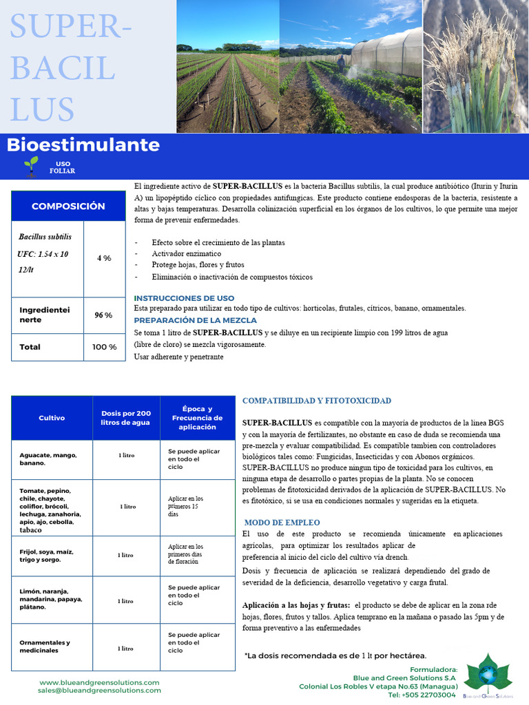 Super Bacillus: Bioestimulante Agrícola | PDF | Las bacterias