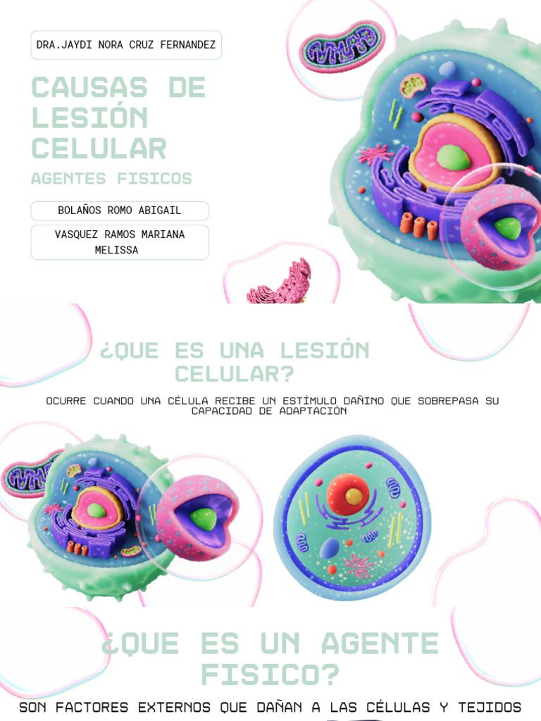 Animal Cell Organelles NGSS Educational | PDF