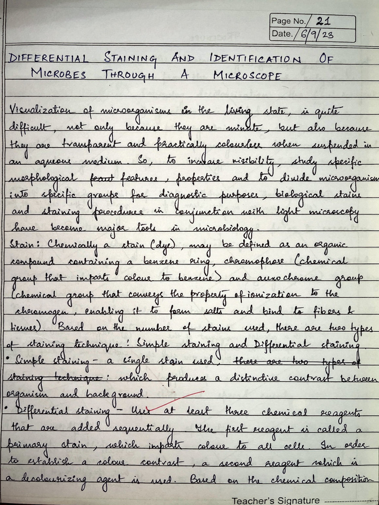 Teacher Signature Log Template | PDF