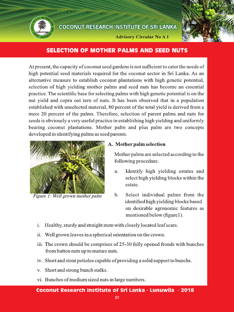 Coco Book Output | PDF | Plant Nursery | Mulch