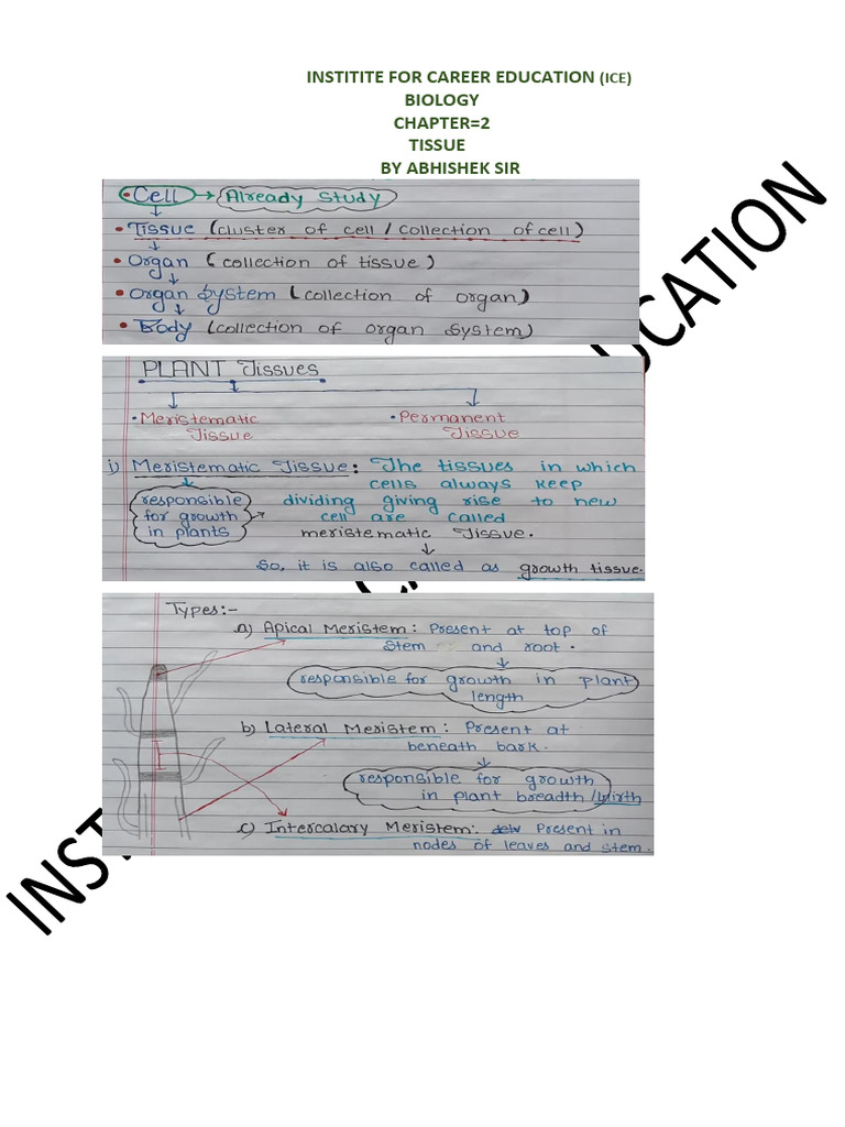 Biology Chapter 2 Notes | PDF