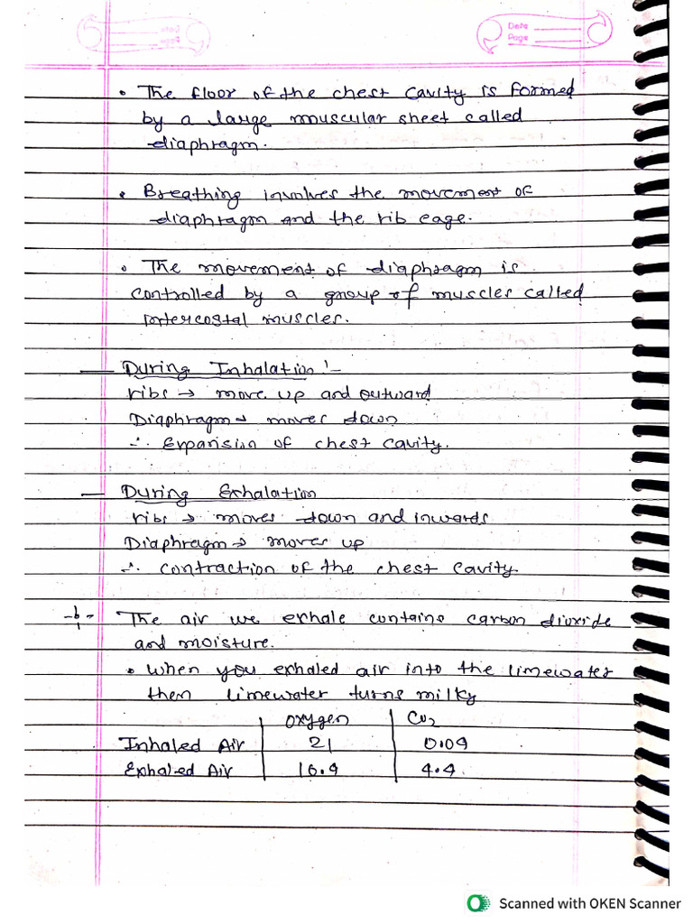 Class 7 Notes_29 | PDF