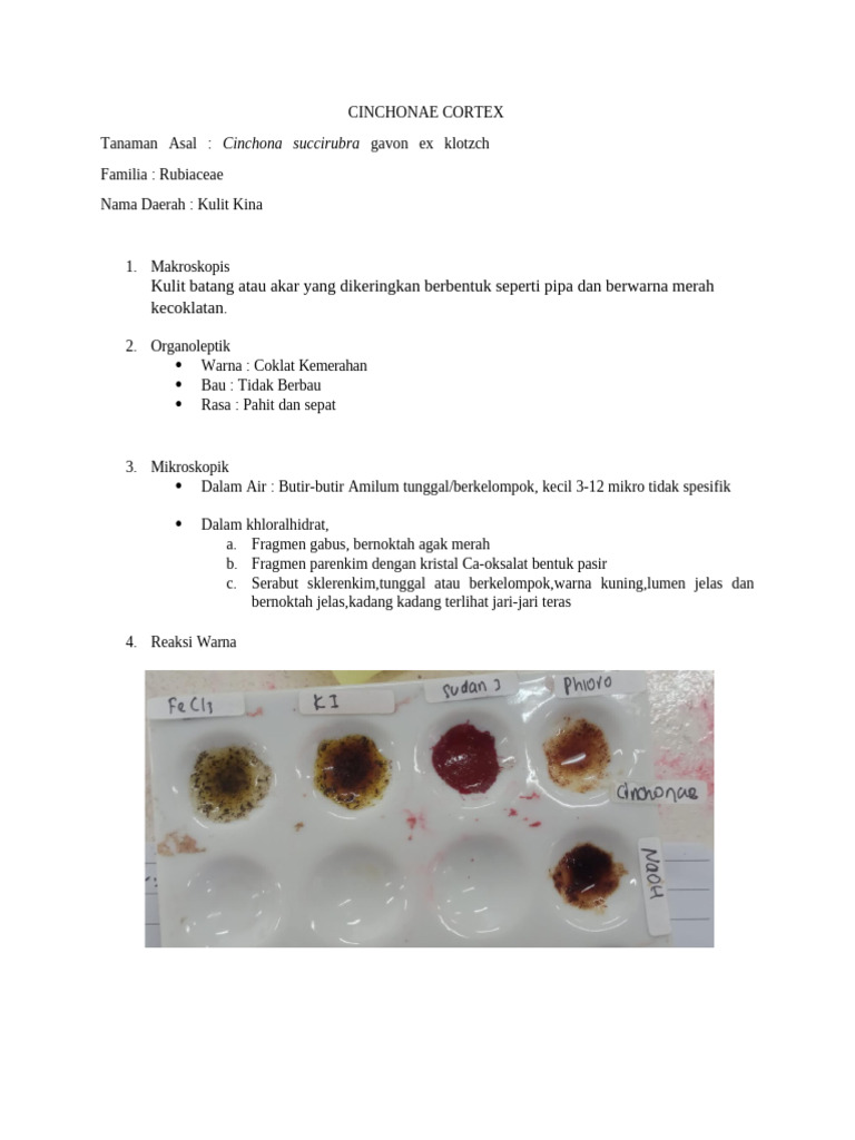 Karakteristik dan Manfaat Cinchonae Cortex | PDF