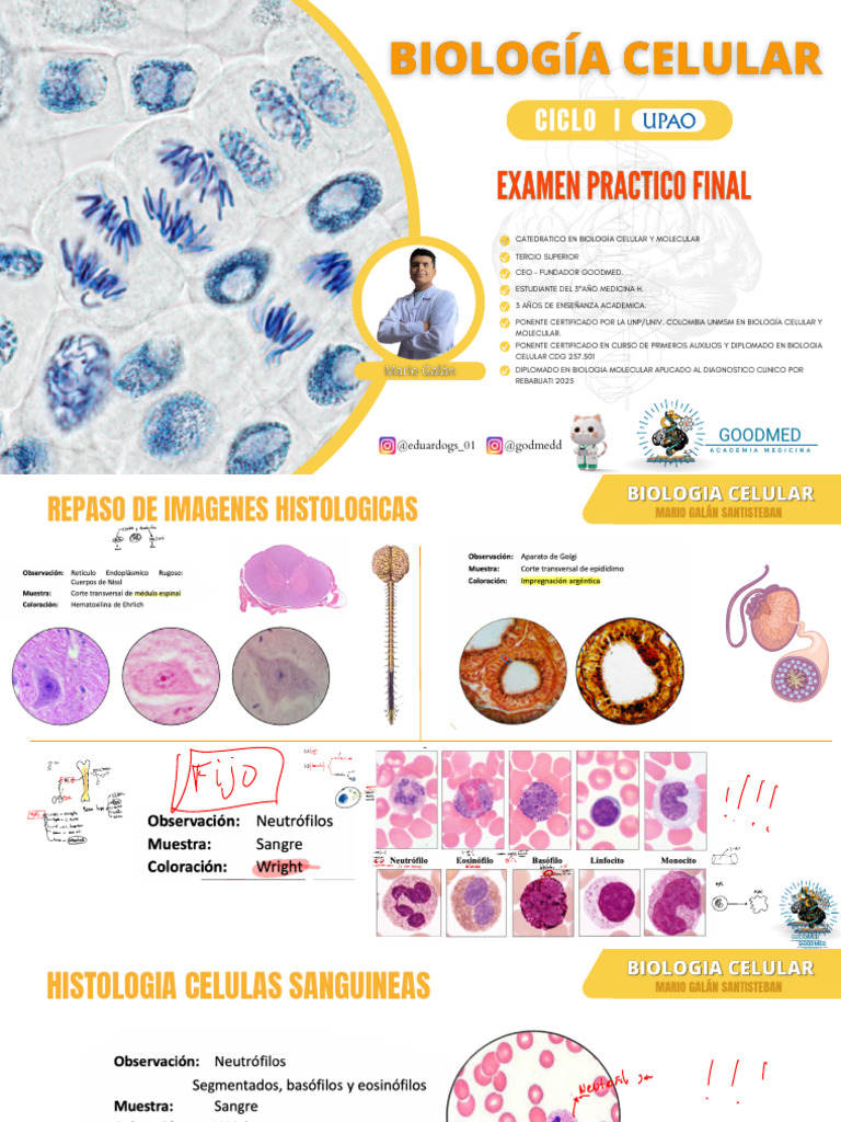 Repaso Final Laboratorio - Biologia Celular 25-I Goodmed PDF | PDF ...
