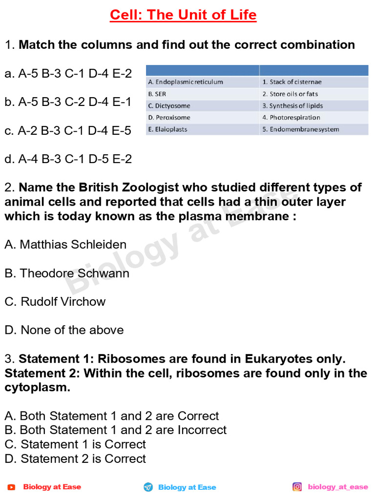 Biology Concepts and Cell Structure Quiz | PDF | Cell (Biology) | Cell ...