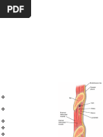Modified Pontic Design For Ridge Defects | PDF | Dentures | Medical Specialties