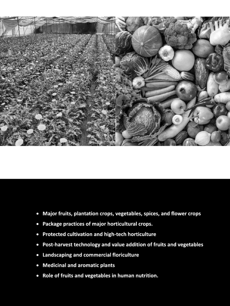 Horticulture - Crops and Its Protection - Compressed | PDF