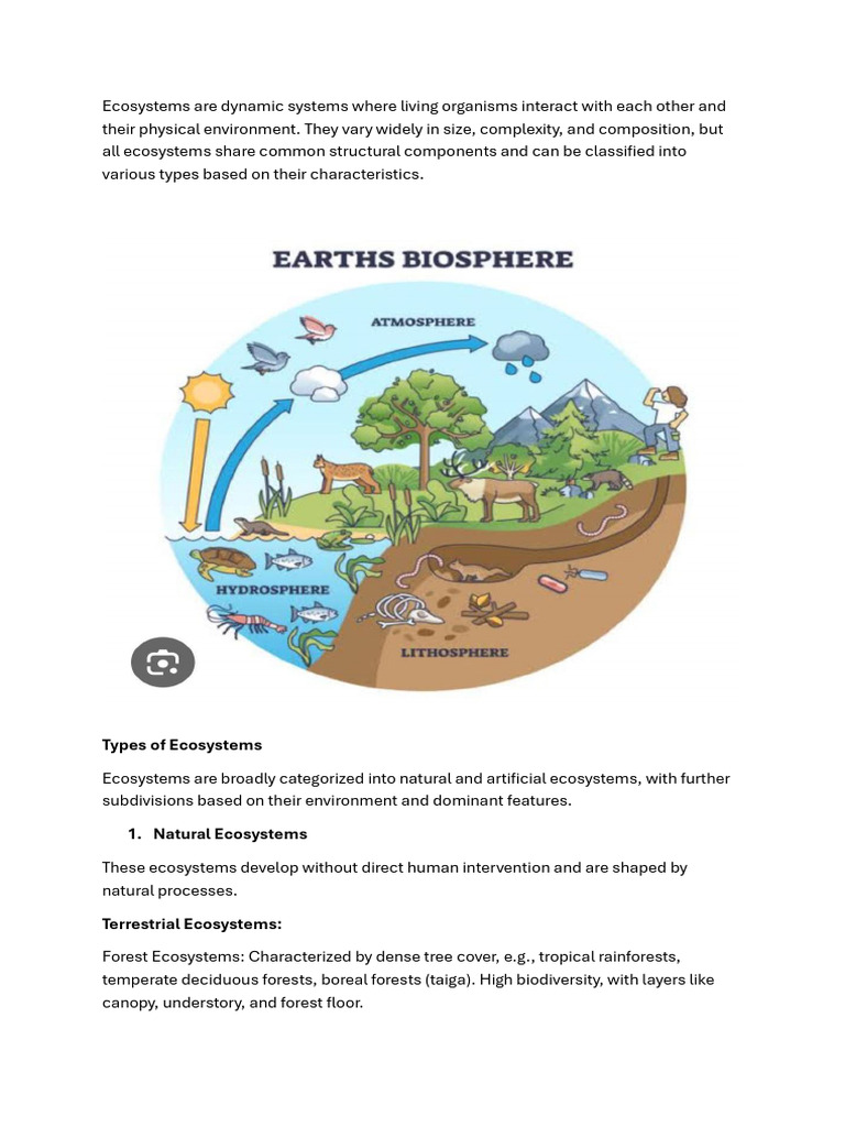 Understanding Ecosystem Structures | PDF | Ecosystem | Aquatic Ecosystem