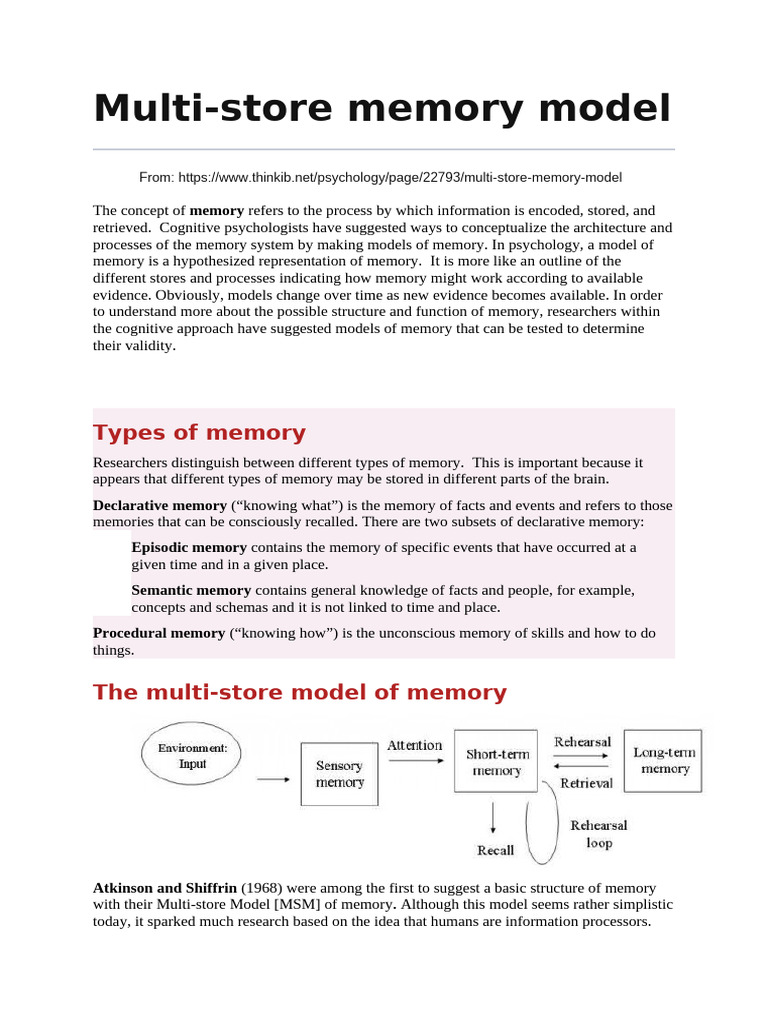 Multi-Store Model ThinkIB | PDF | Memory | Recall (Memory)