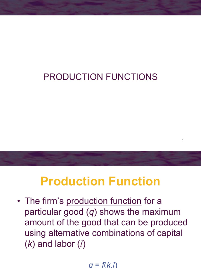 Production Functions | PDF | Production Function | Economics