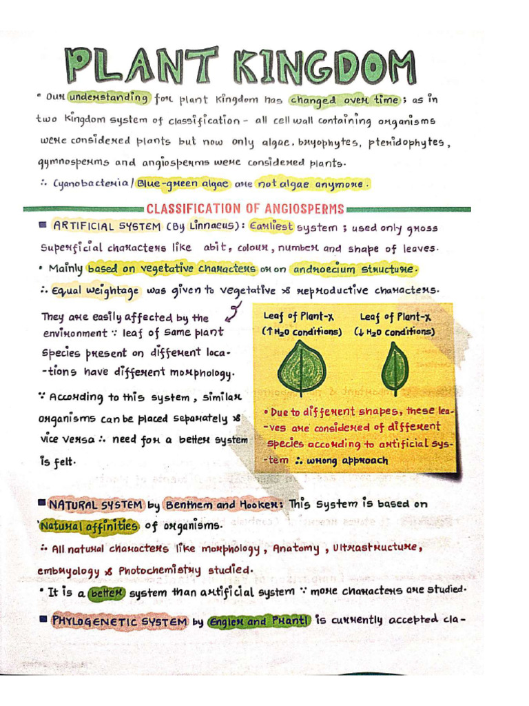 Botany Med Easy by Vipin Sir | PDF