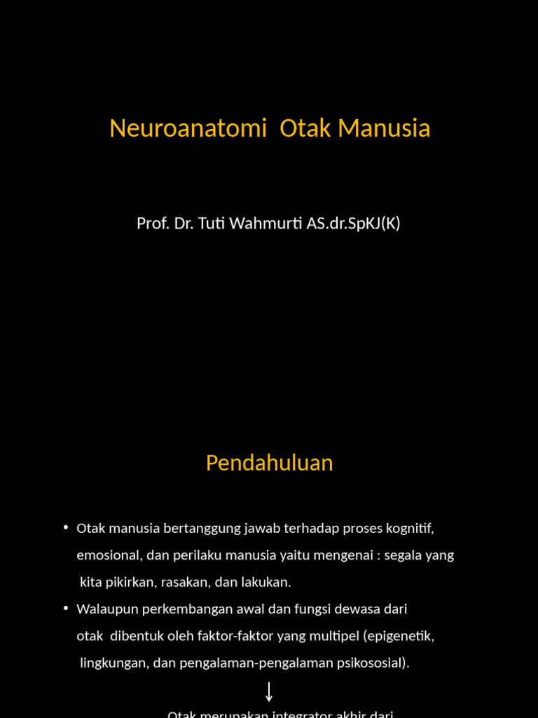 Neuroanatomi dan Fungsi Otak Manusia | PDF