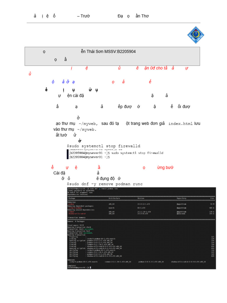 Son B2205904 CT179 QTHT Lab5 2023-2024 | PDF