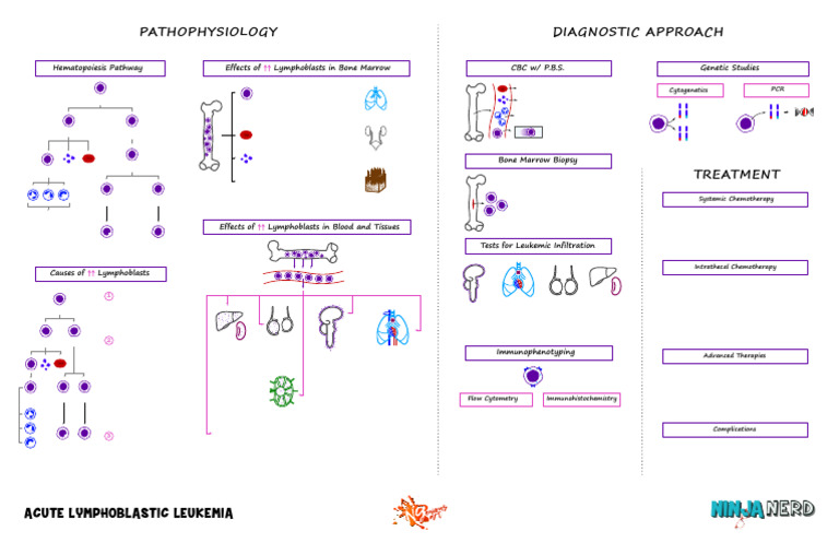 Acute Lymphoblastic Leukemia (ALL) Atf | PDF