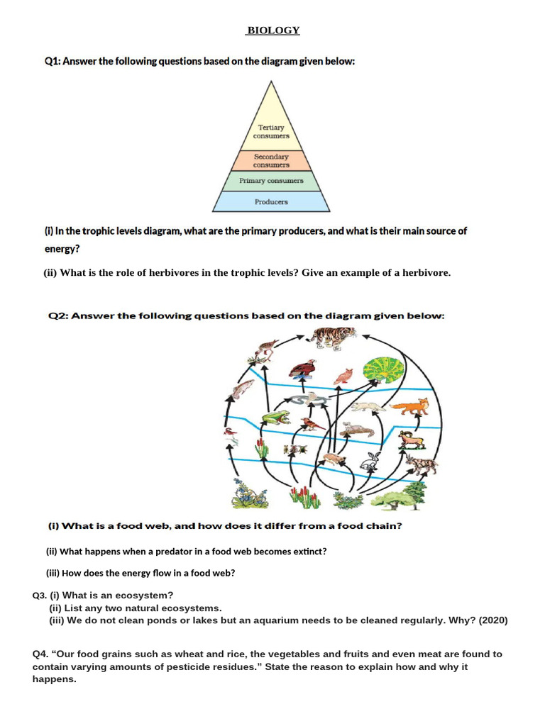 Class 10 Science Worksheet 2 | PDF | Sodium Carbonate | Salt (Chemistry)