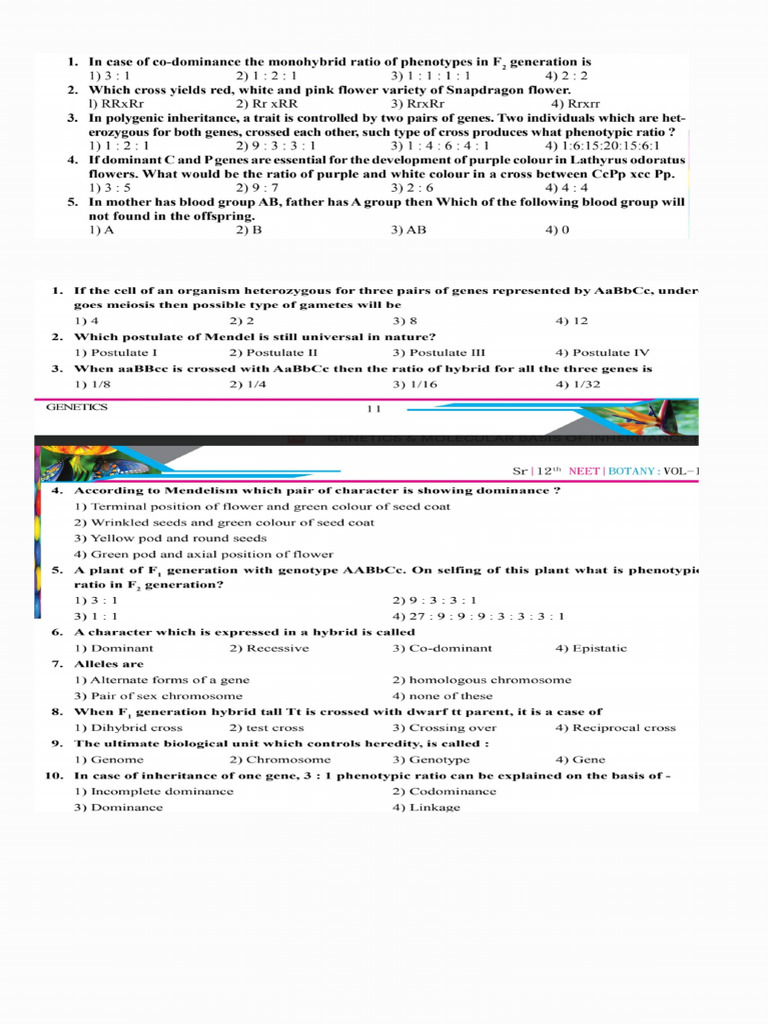 Inheritance Extra Questions | PDF