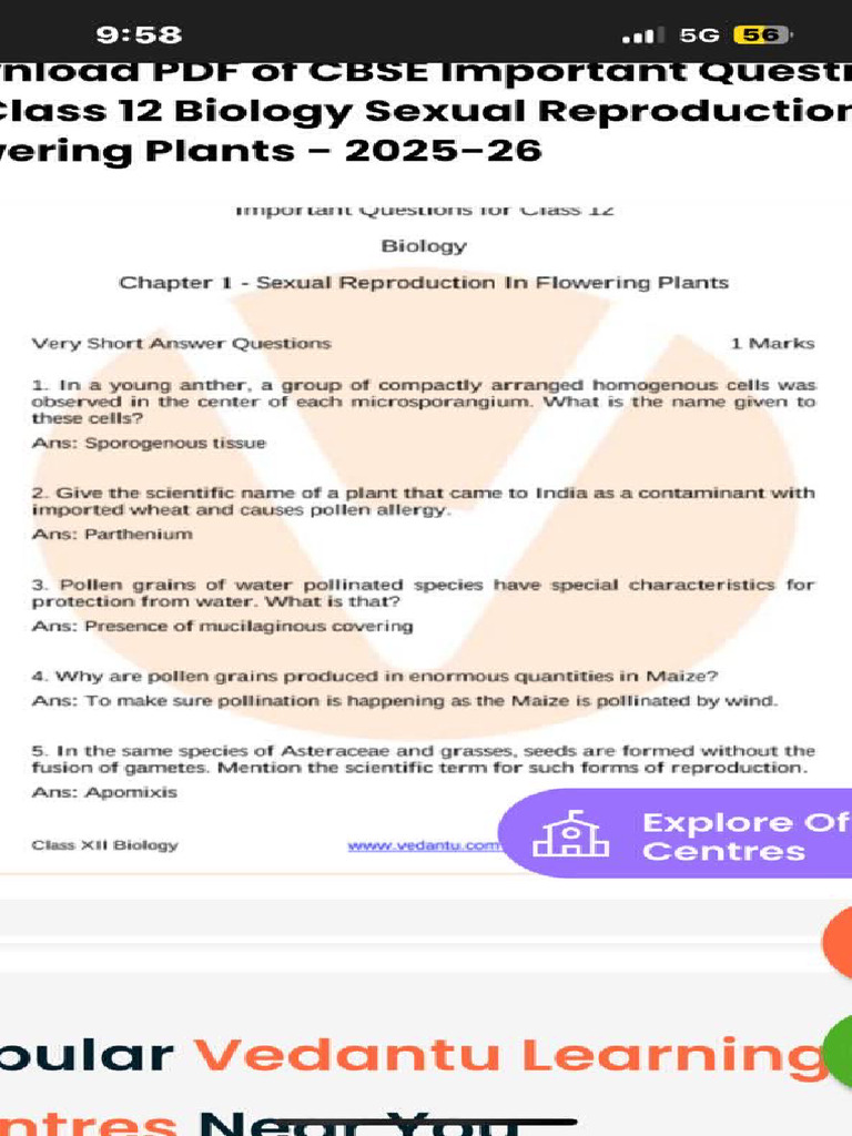 Pdf24 Converted | PDF