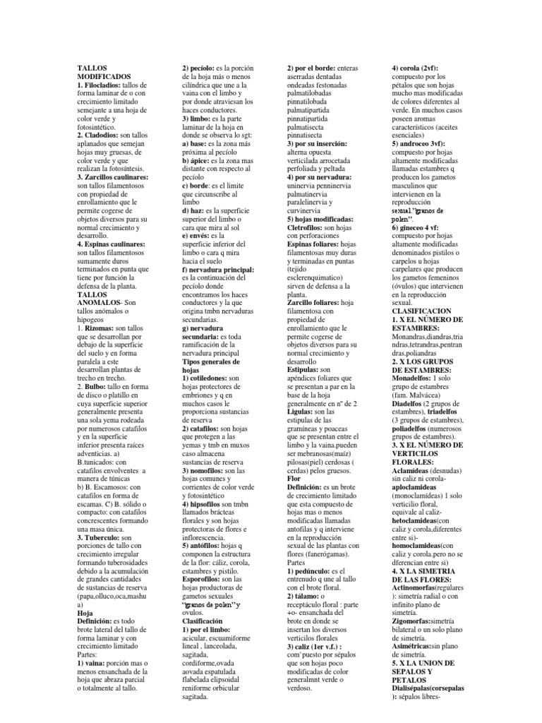 Tallos Modificados | PDF | Flores | Hoja