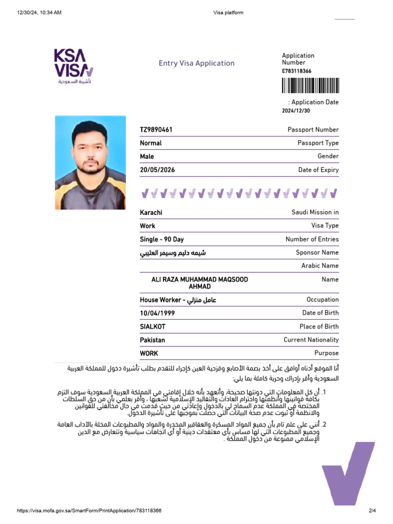 Entry Visa Application | PDF