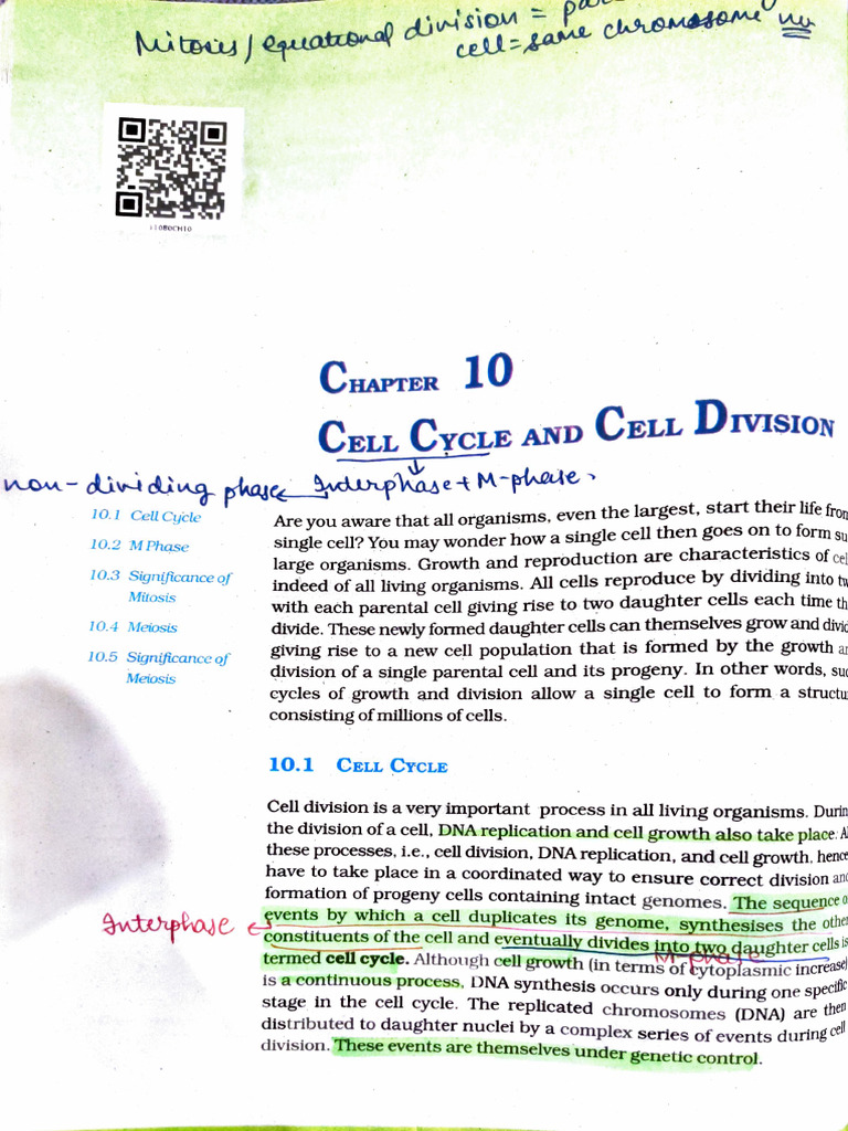 Cell Cycle and Division Ncert | PDF | Cell Growth | Cell (Biology)