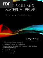 Fetal Skull Diameter Measurements | PDF