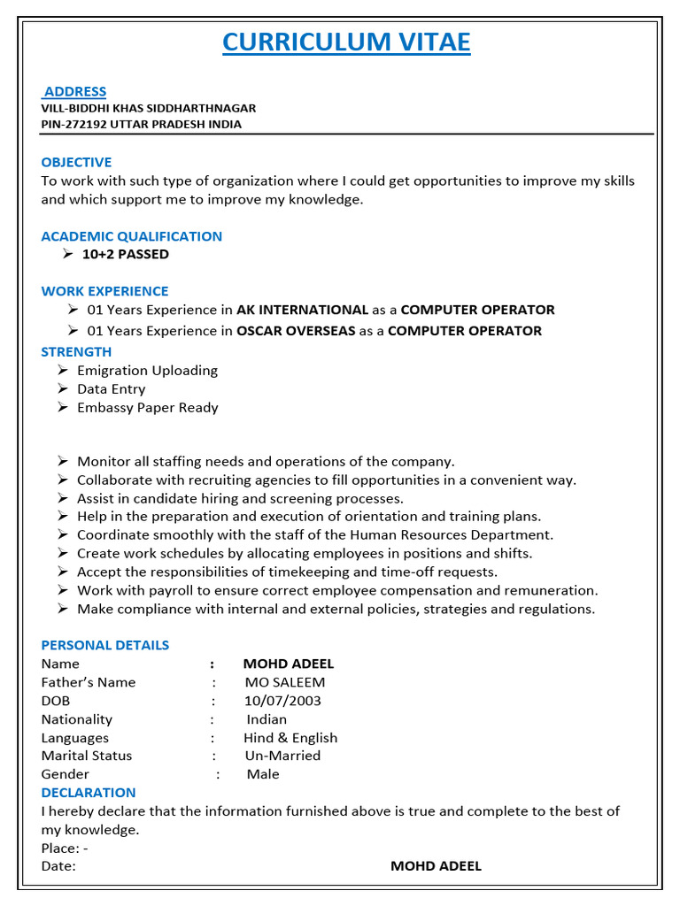 Adeel CV | PDF