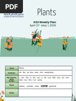 Review Unit 8 Lesson Plan | PDF | Phonics | Pedagogy