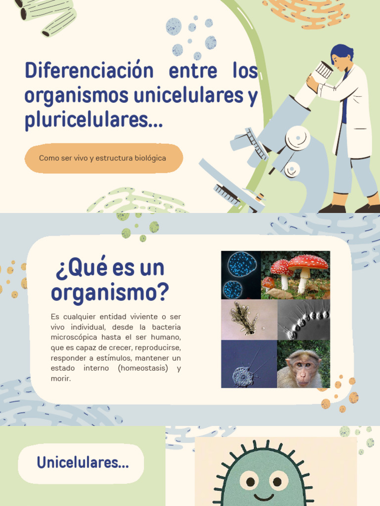 Presentación Educativa Sobre Exploración Detallada de Las Células en ...