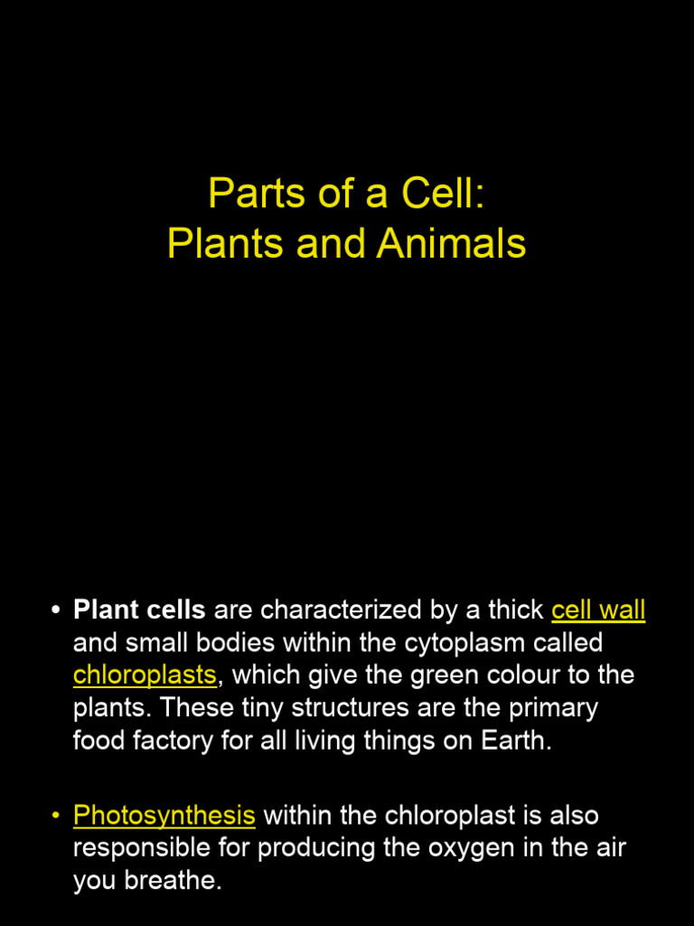 02 - BL - Parts of A Cell - Plants and Animals | PDF | Cell (Biology ...