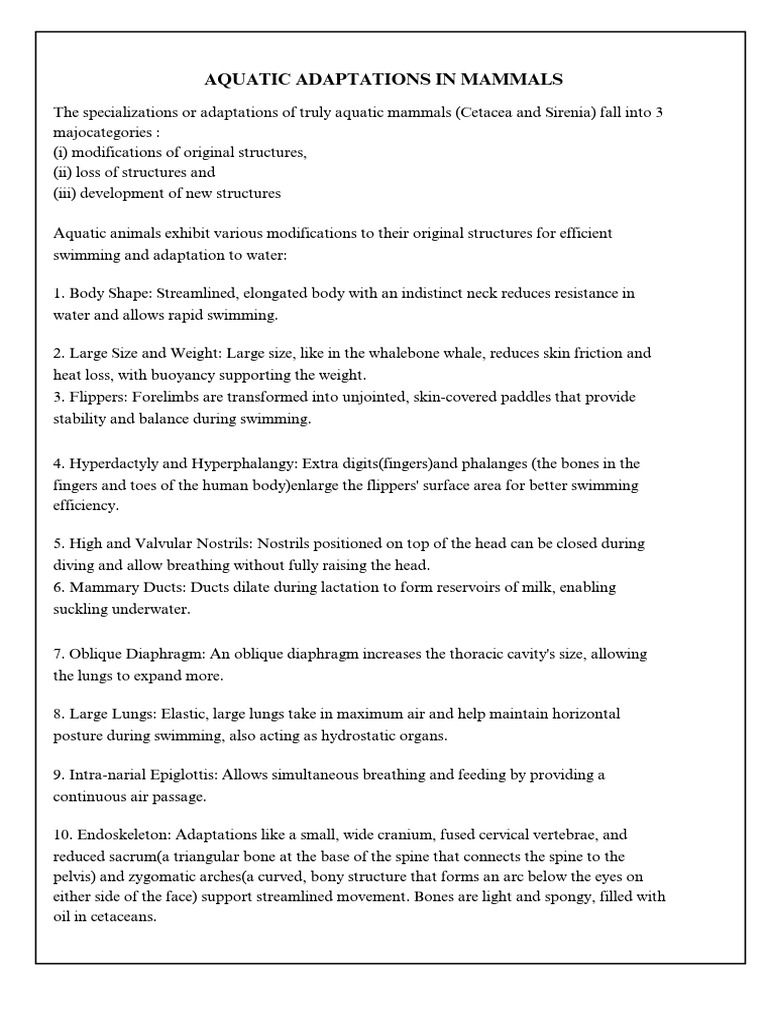 Aquatic Adaptations in Mammals PDF | PDF | Whales | Cetacea