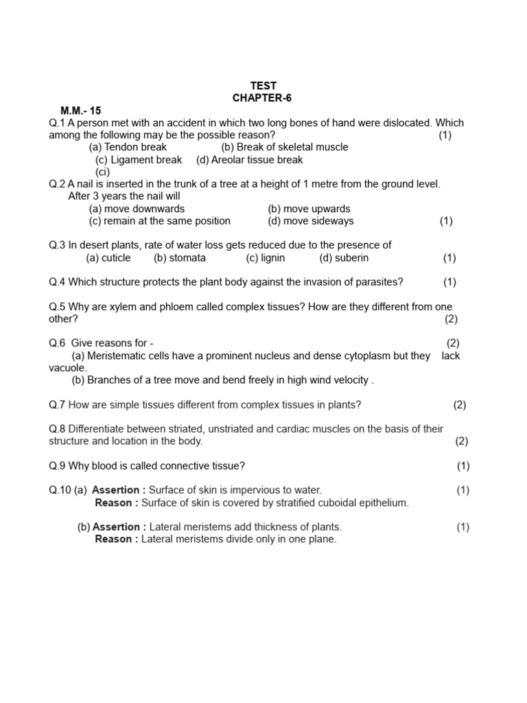 Test of Chapter-6 | PDF