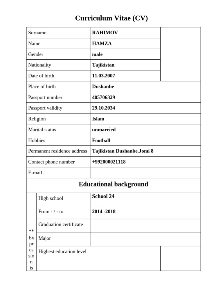 CV Format | PDF