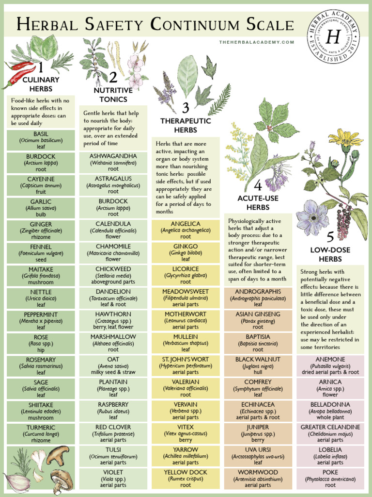 Herbal Safety Continuum Scale Guide | PDF | Herbs And Spices | Vegan ...