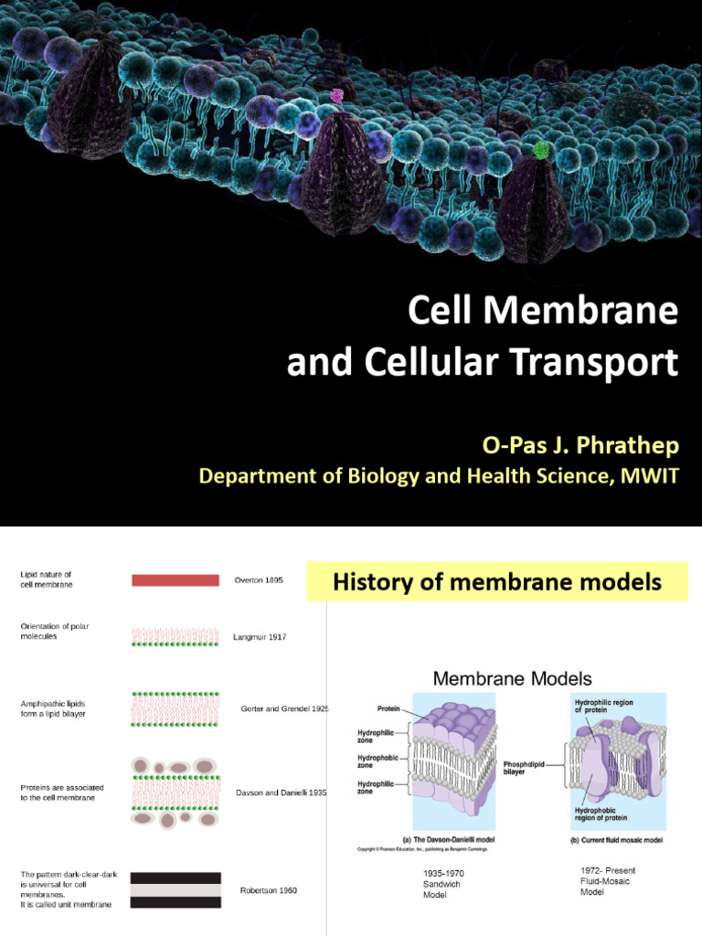 Cell Membrane and Cell Transport - 2565 - 1 | PDF