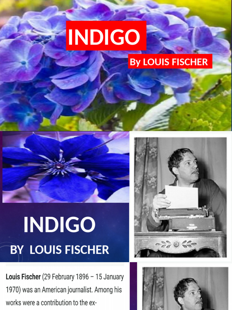 STD XLL Indigo | PDF