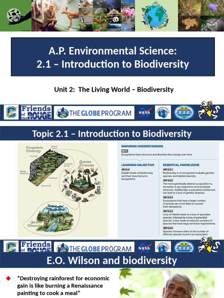 Introduction to Biodiversity Overview | PDF | Biodiversity | Genetic ...