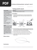 Student Practical Worksheet - Tetsing For Starch | PDF