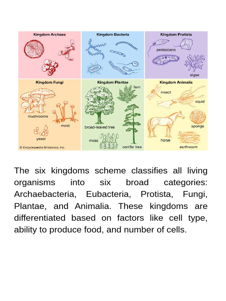 The Six Kingdoms Scheme Classifies All Living Organisms Into Six Broad ...