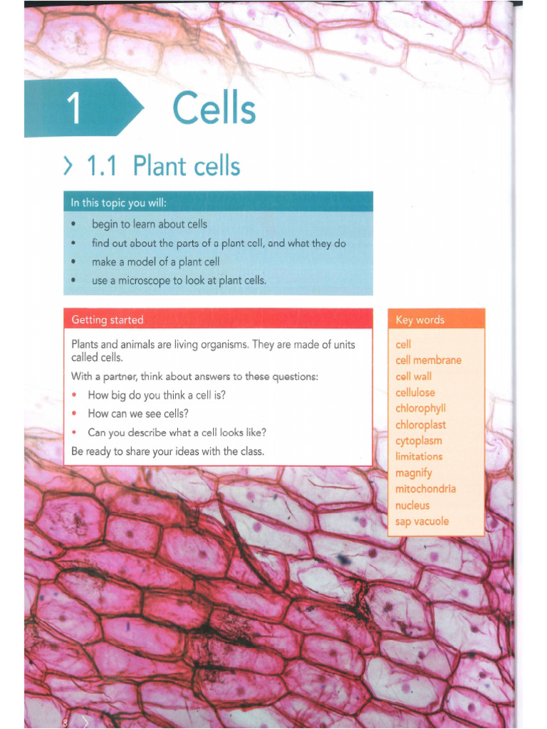Coursebook Unit 1 - Cells | PDF