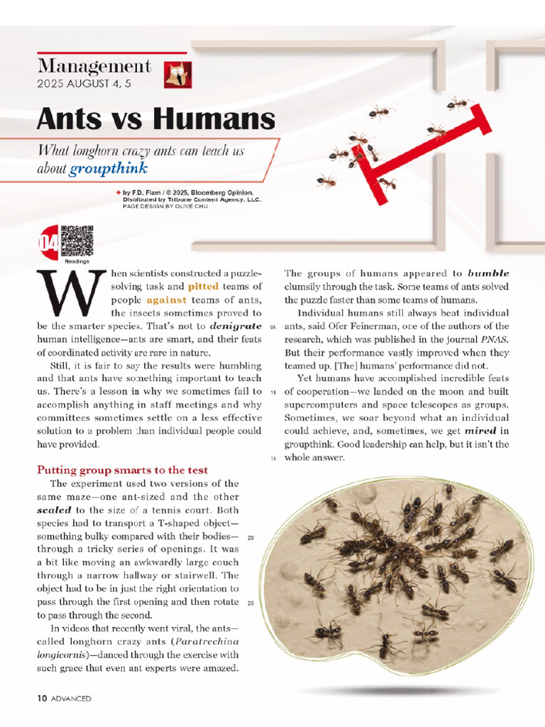 Ad 0348 20250813 | PDF